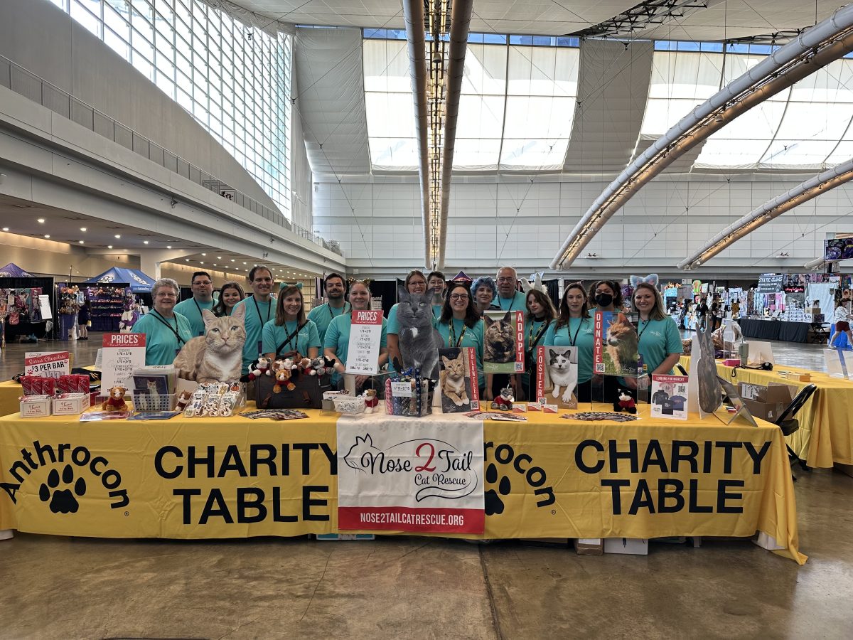 Furries to the rescue: Anthrocon raises $89,000 for McDonald cat ...